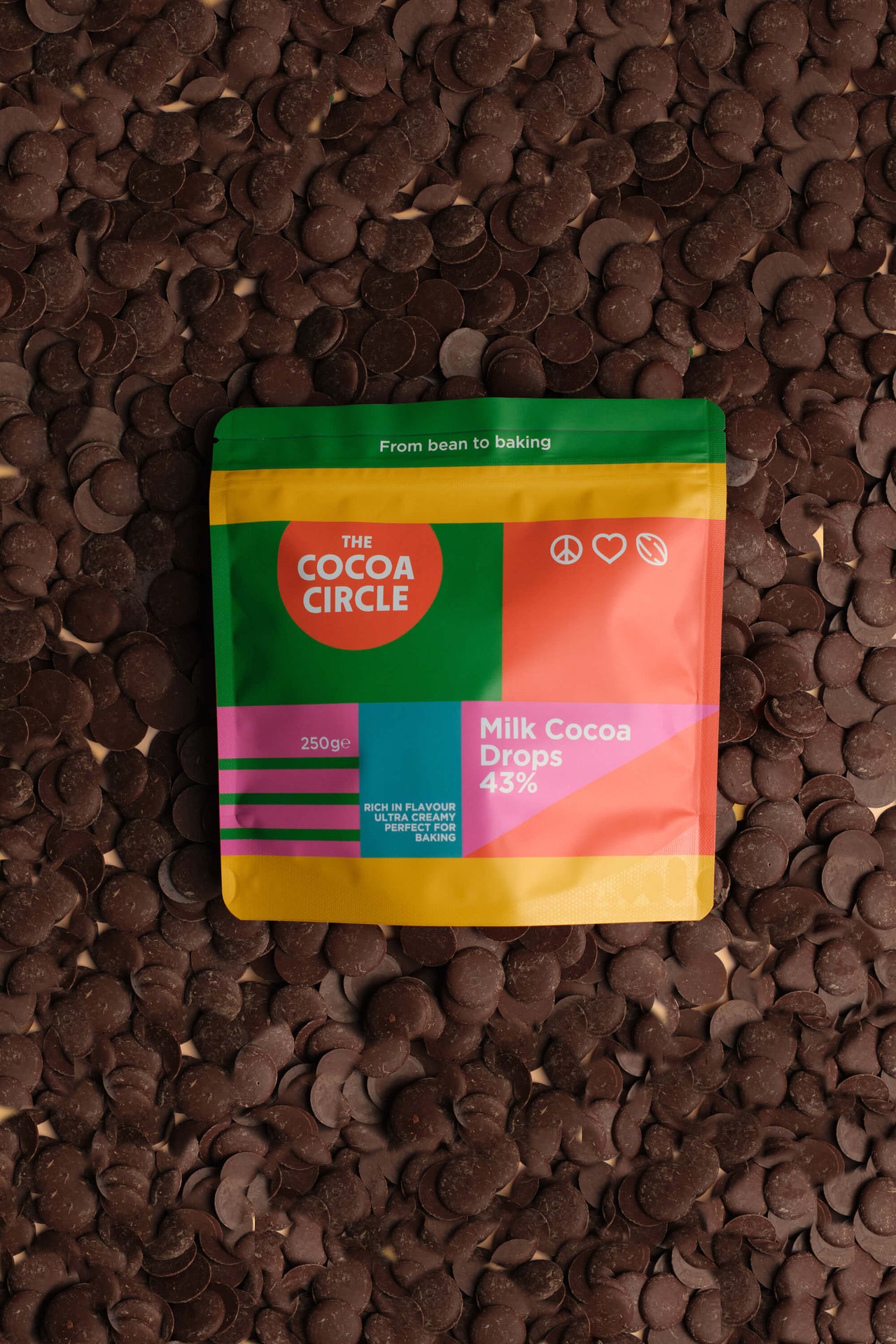 Where Cocoa Begins: Inside a Bolivia Nursery Building Cocoa’s Future